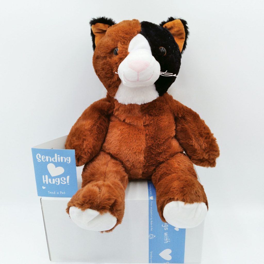 Send Stuffed Animal Gift