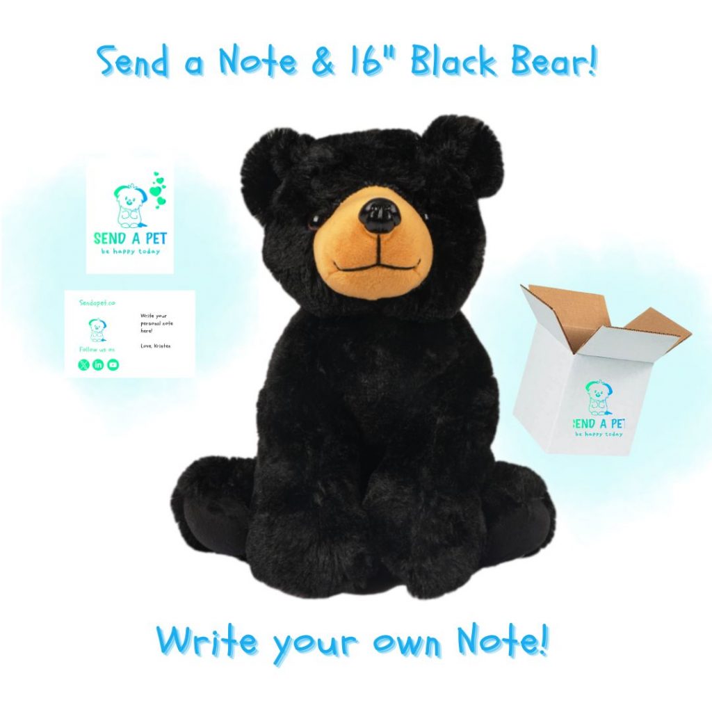 Send Stuffed Animal Gift