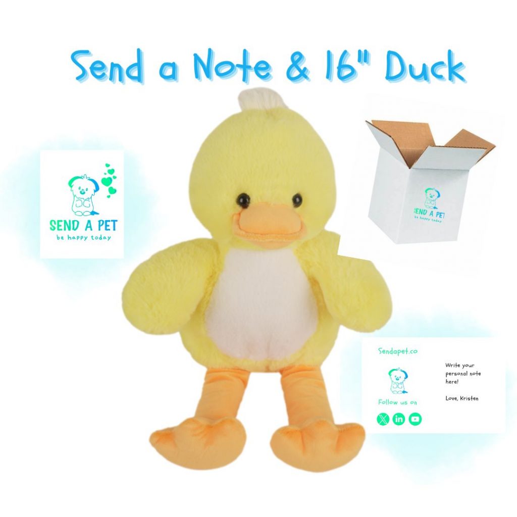 Send Stuffed Animal Gift