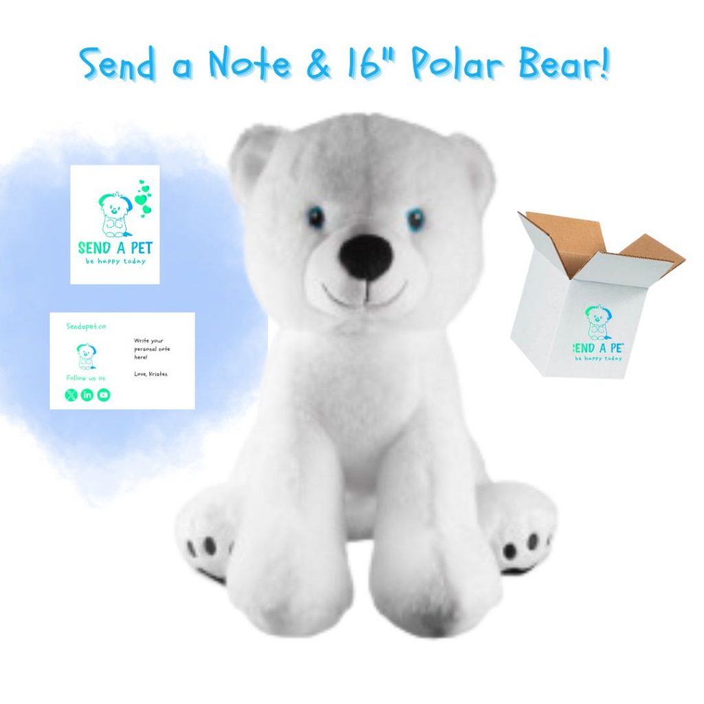 Send Stuffed Animal Gift